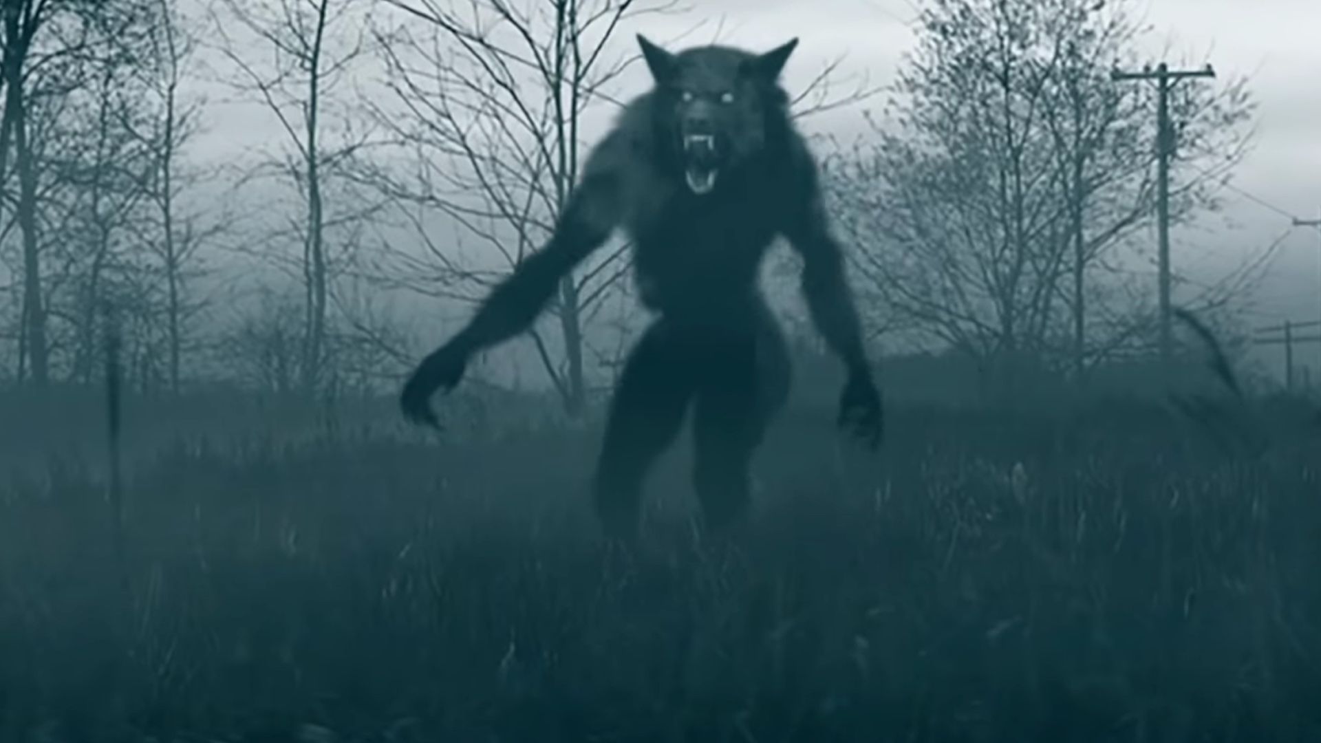 Tráiler del documental 'American Werewolves' - Aullidos.com